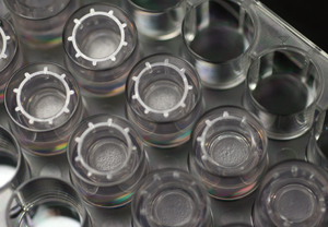 Workshop on 3Rs with EPISKIN Academy