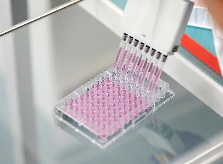 EPISKIN In vitro test approach multiple and safety scrrening