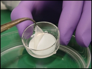 EPISKIN FAQ: Frequently asked questions