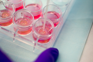 Episkin Training Sessions